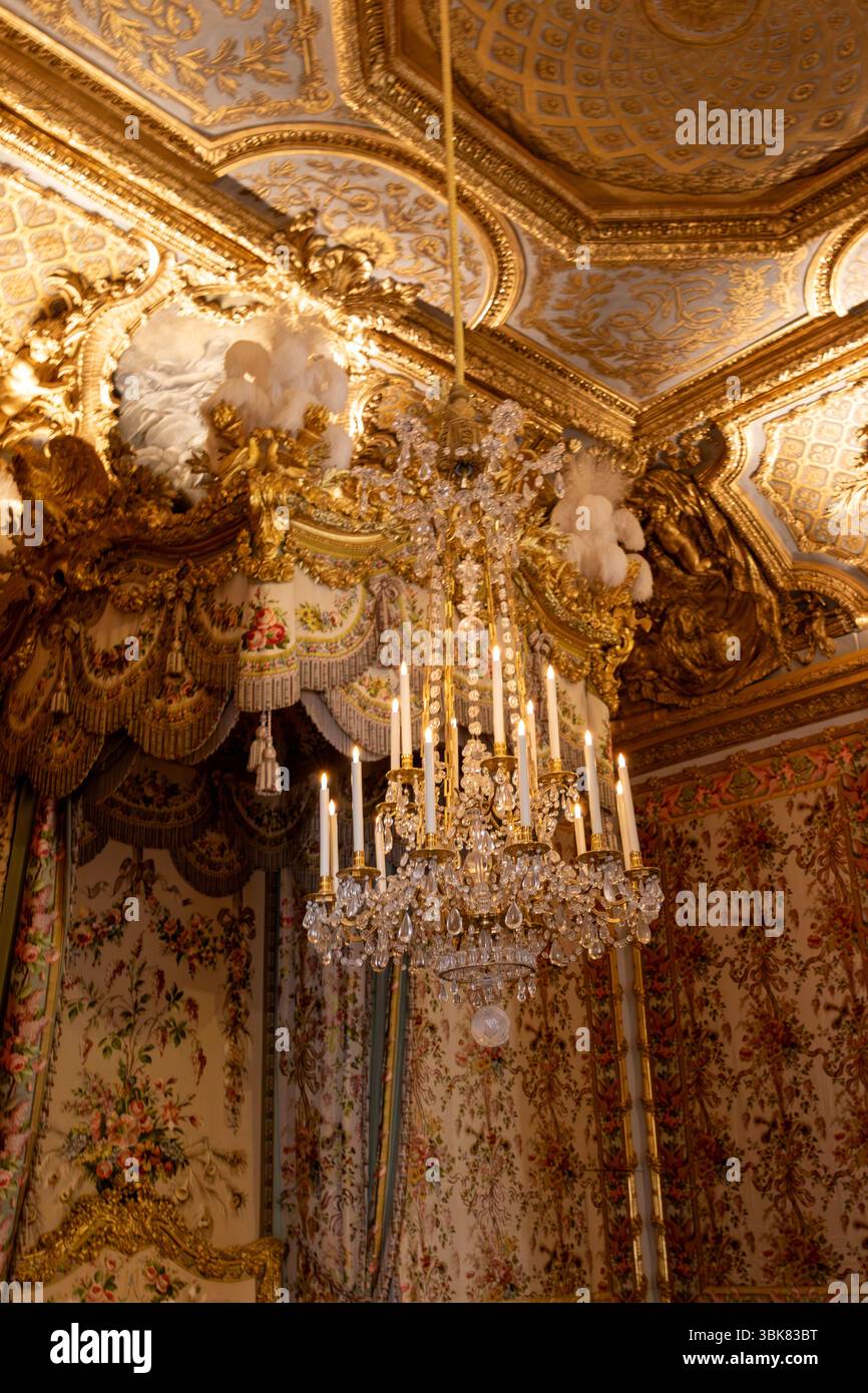 Ornate room featuring a crystal chandelier, gilded details, floral ...