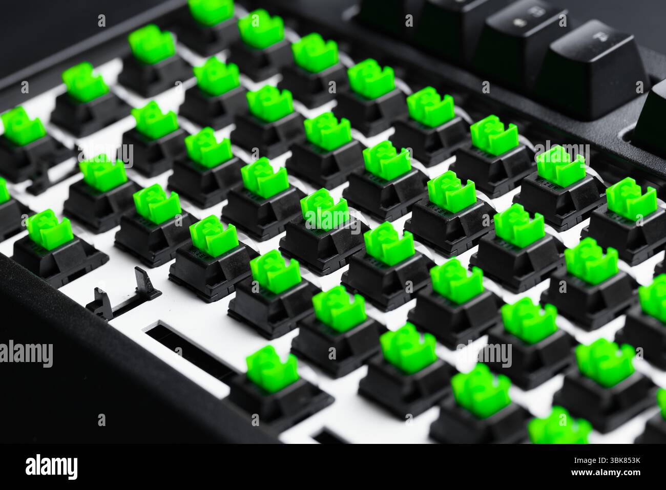 Razer mechanical gamer keyboard switches closeup hi-res stock ...