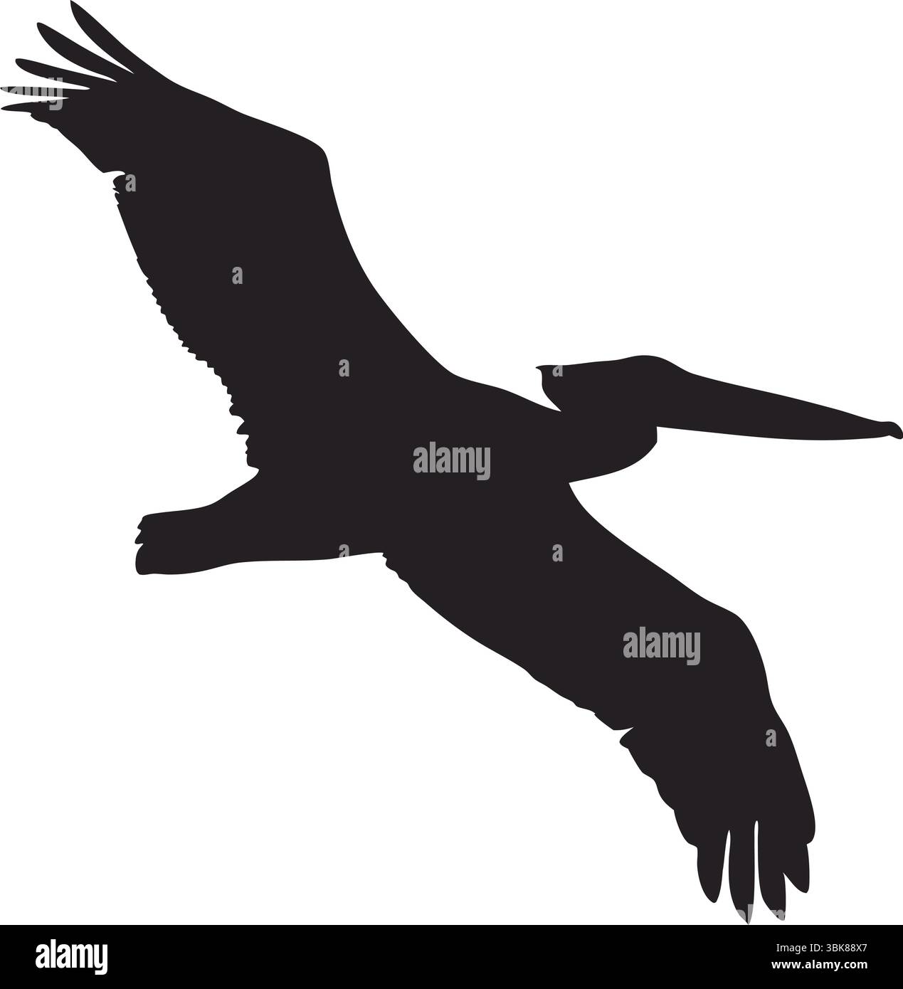 Stork and Pelican Silhouette Vector, Black Bird Clipart, Standing and ...