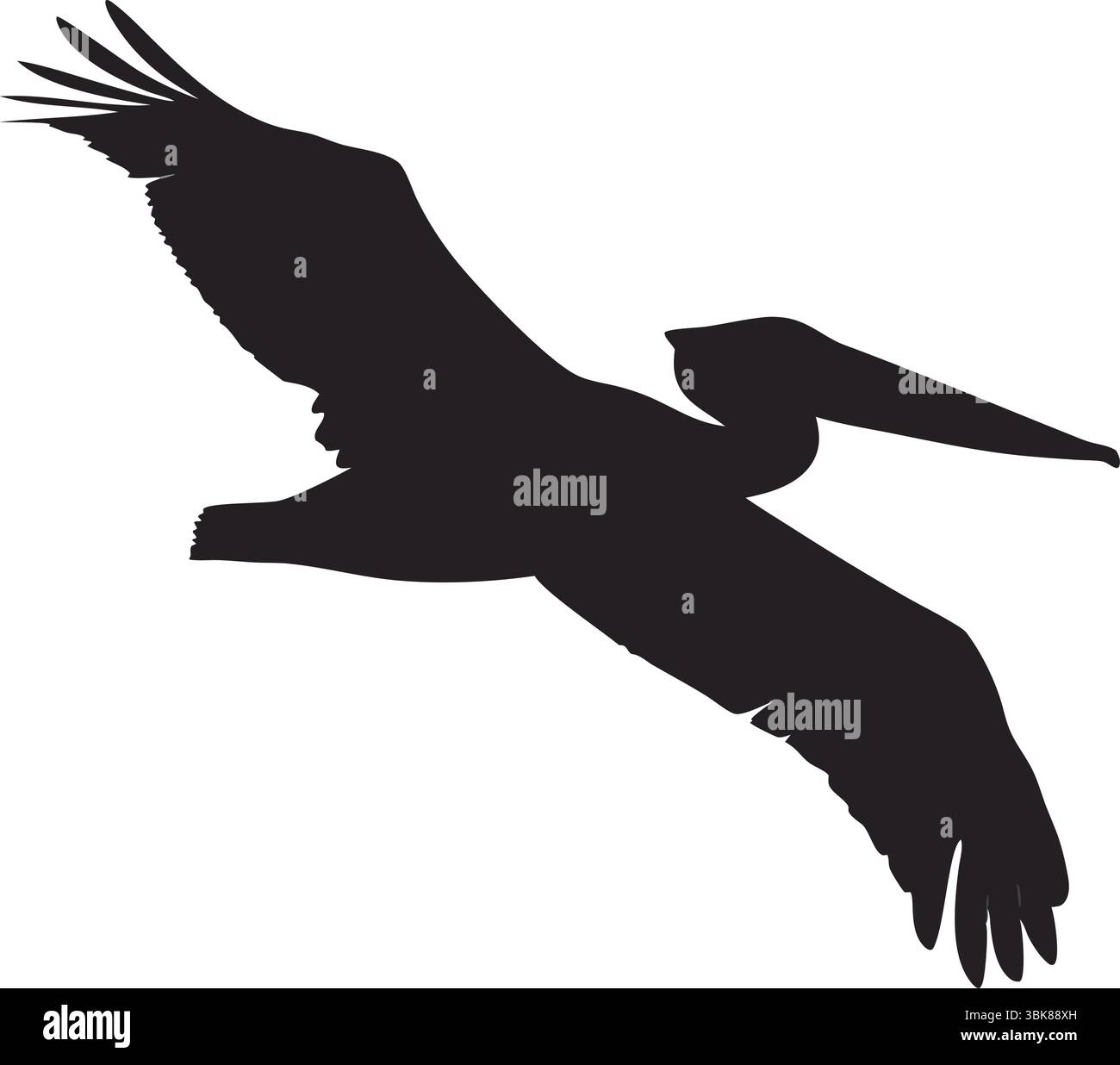 Stork and Pelican Silhouette Vector, Black Bird Clipart, Standing and ...