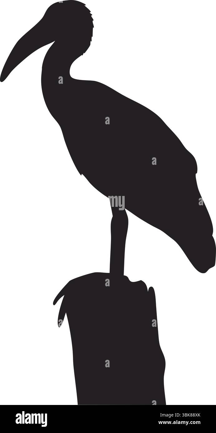 Stork and Pelican Silhouette Vector, Black Bird Clipart, Standing and ...