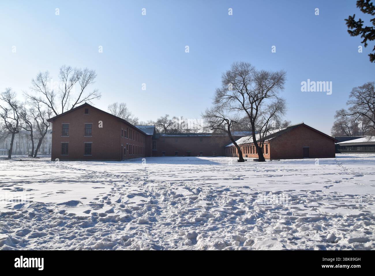 Unit 731 hi-res stock photography and images - Alamy