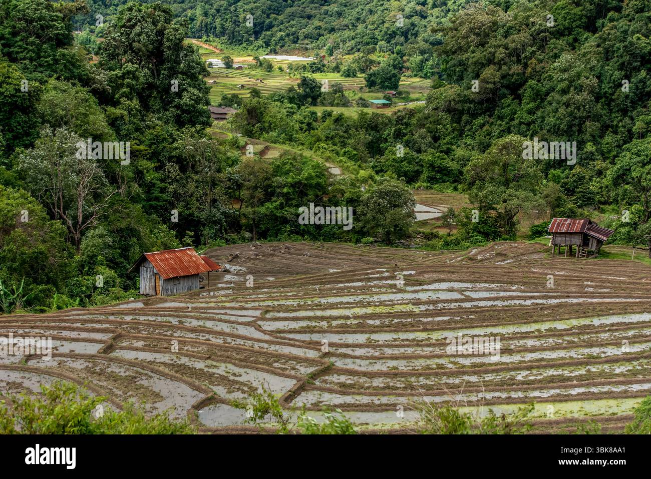 Traditional rice terraces in mountain valley of northern Thailand with ...