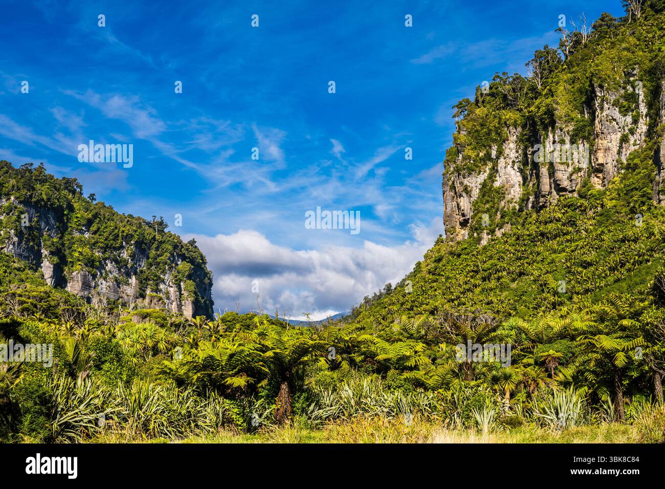 Limestone cliffs on the Pororari River, near Punakaiki, West Coast, South Island, New Zealand ...