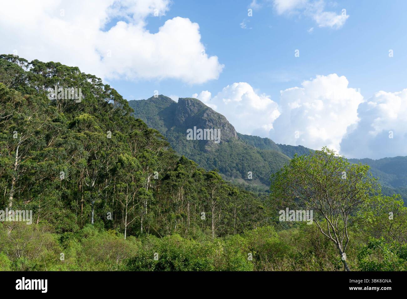 needle rock viewpoint Gudalur, Tamil Nadu Stock Photo - Alamy