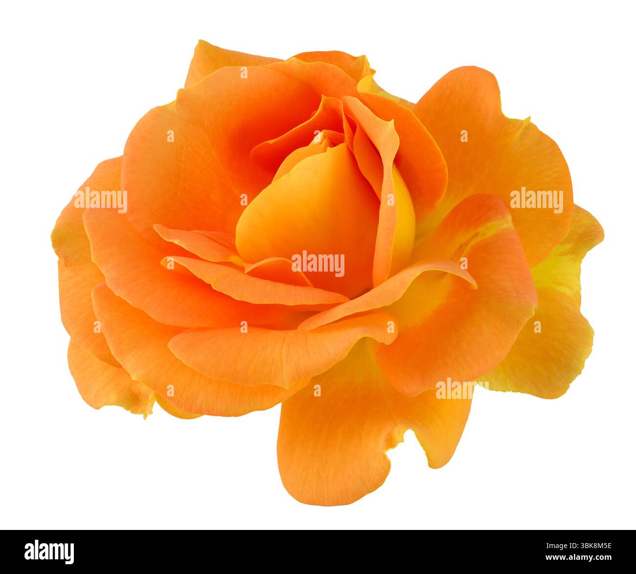 Wonderful summer garden view Cut Out Stock Images & Pictures - Alamy