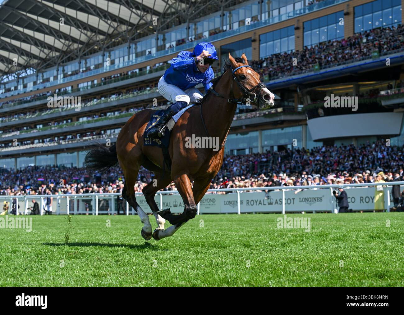 Ombudsman horse hi-res stock photography and images - Alamy