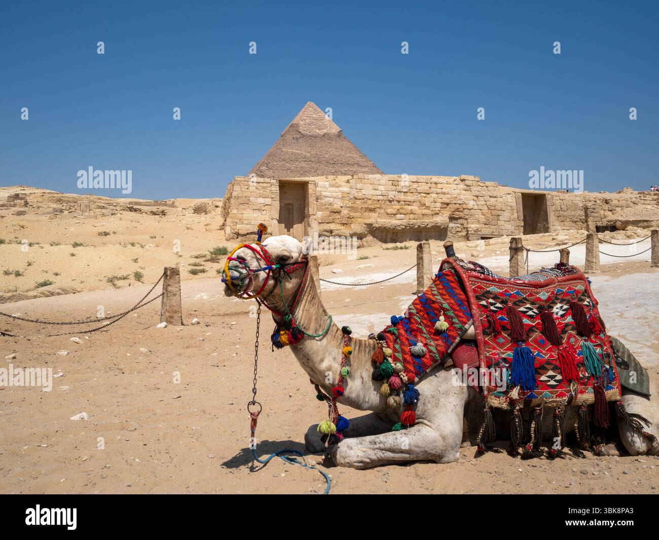 Egypt, Cairo, Giza, pyramids, african lifee Stock Photo - Alamy