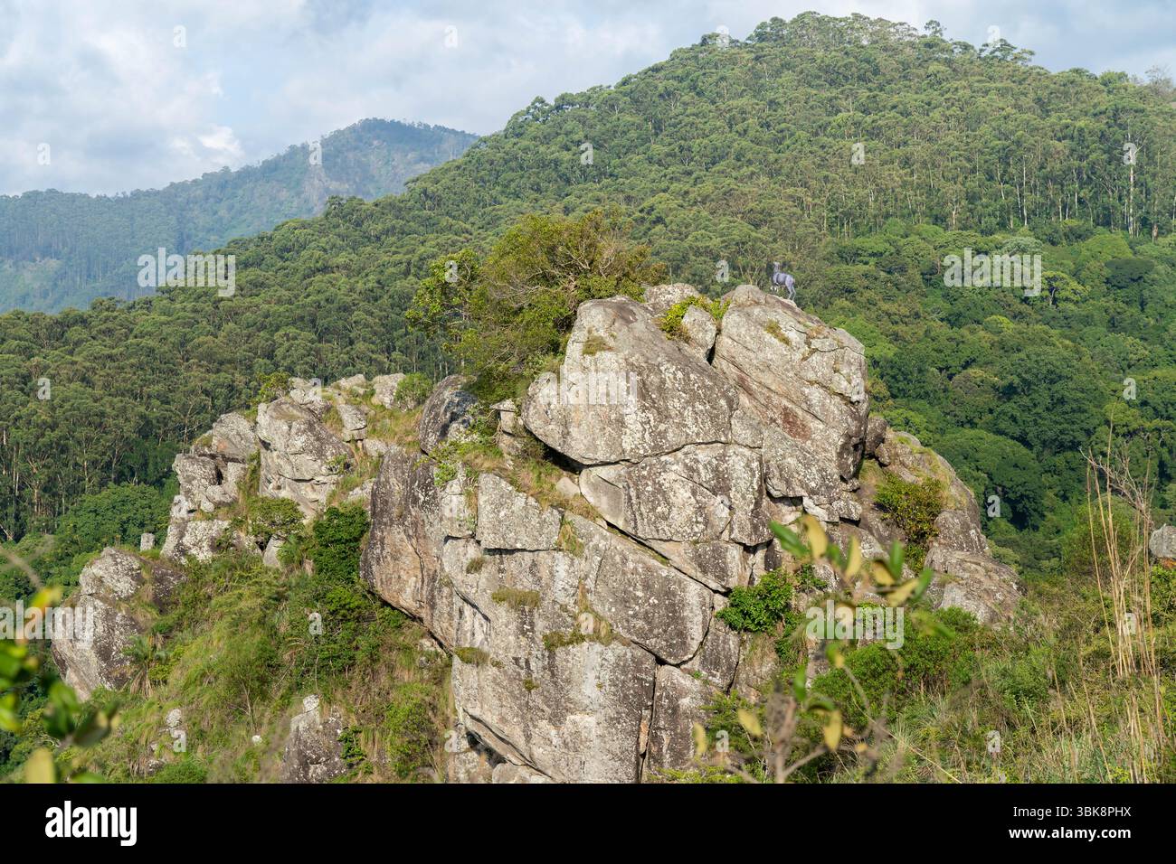 needle rock viewpoint Gudalur, Tamil Nadu Stock Photo - Alamy