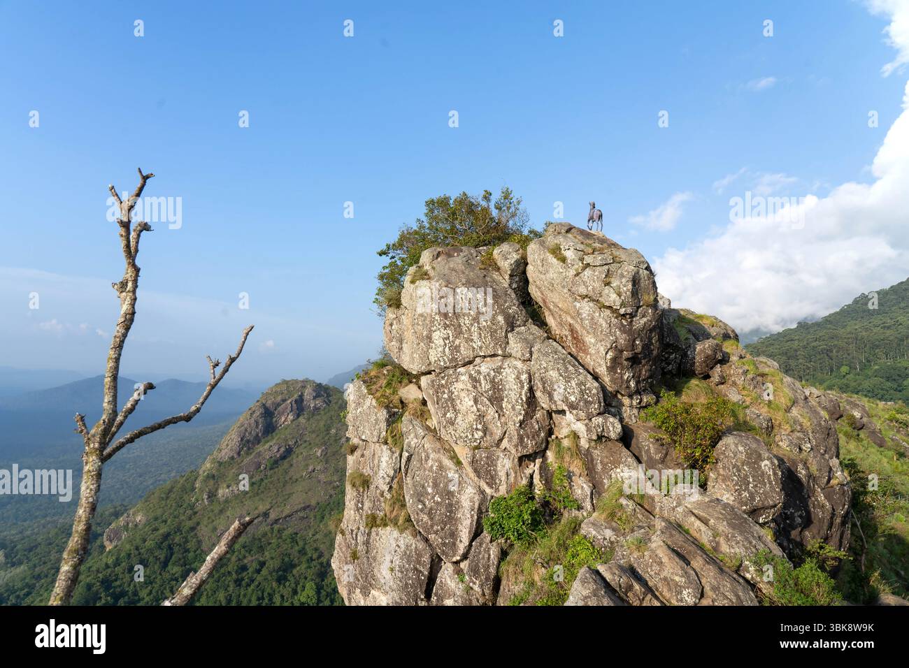 needle rock viewpoint Gudalur, Tamil Nadu Stock Photo - Alamy