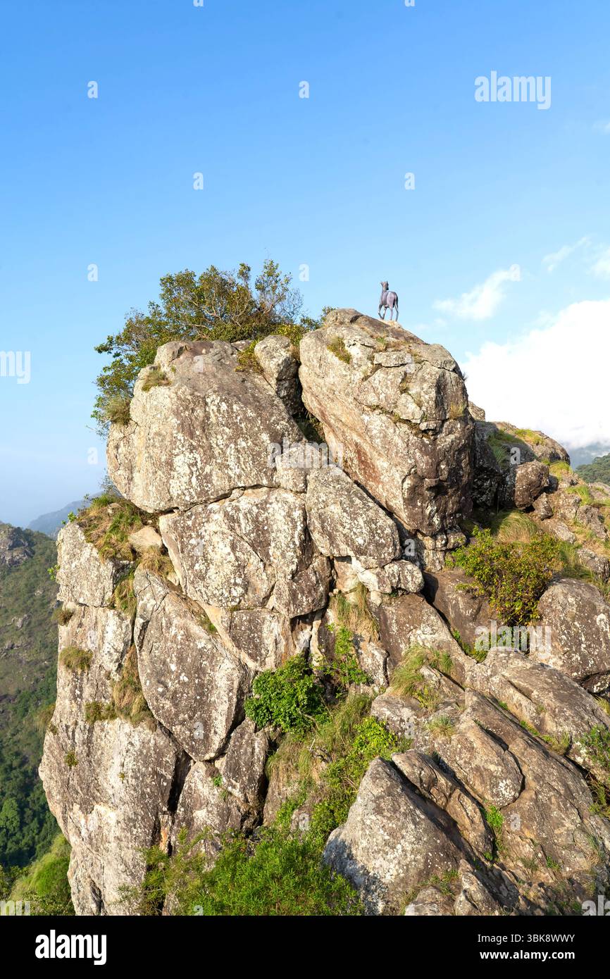needle rock viewpoint Gudalur, Tamil Nadu Stock Photo - Alamy