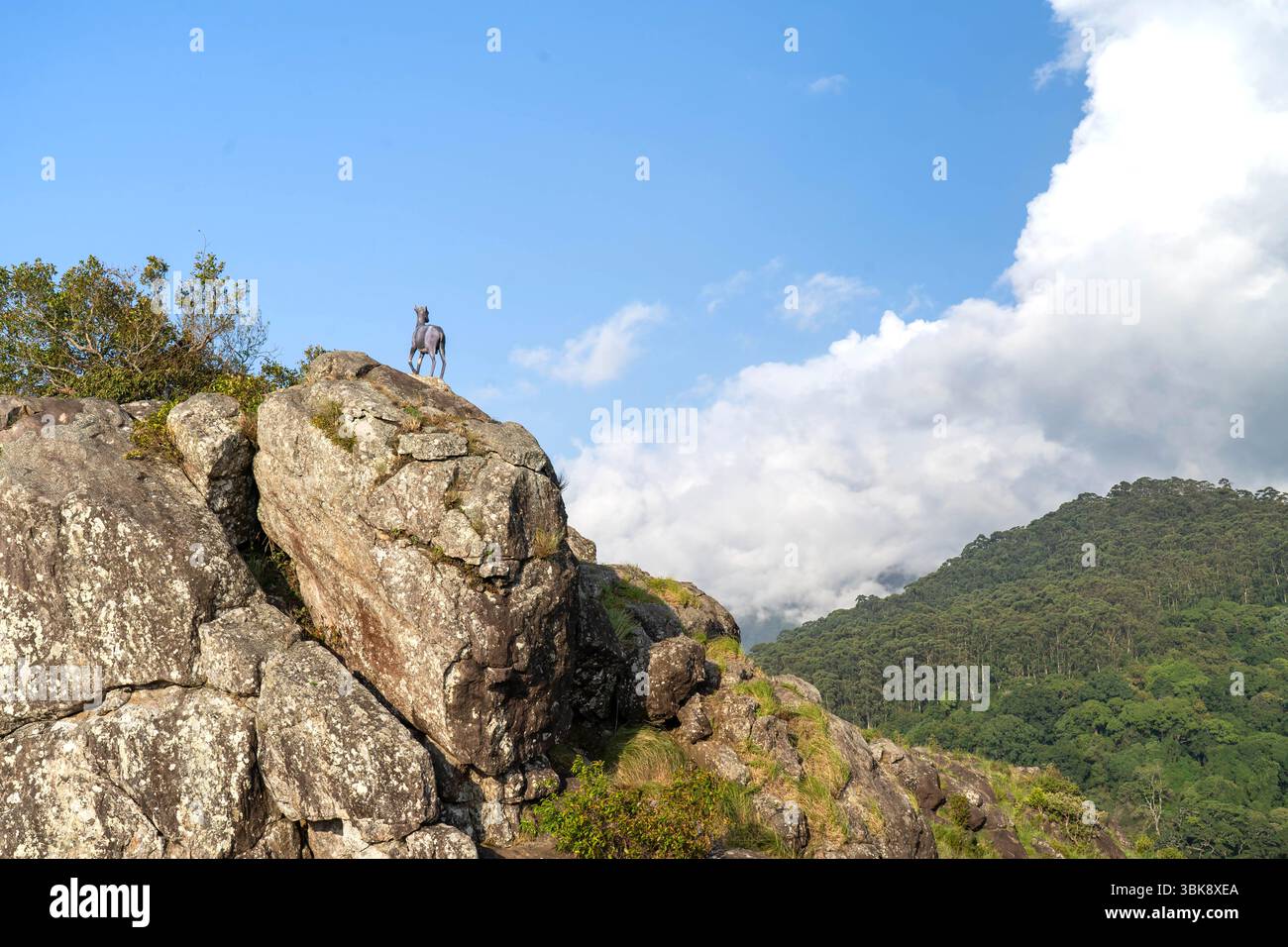 needle rock viewpoint Gudalur, Tamil Nadu Stock Photo - Alamy