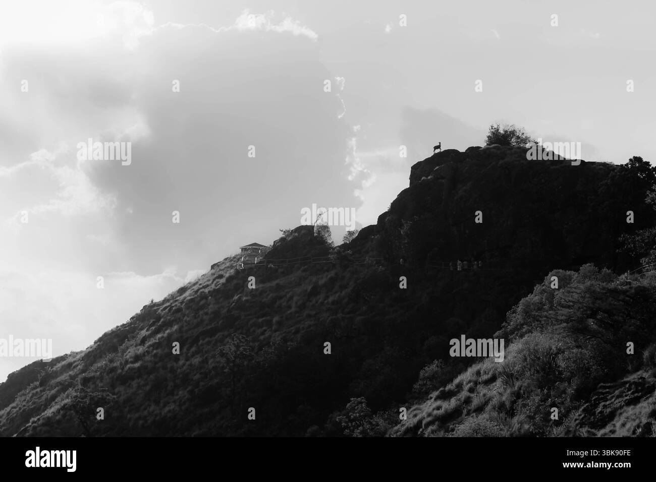 India western tourist Black and White Stock Photos & Images - Alamy