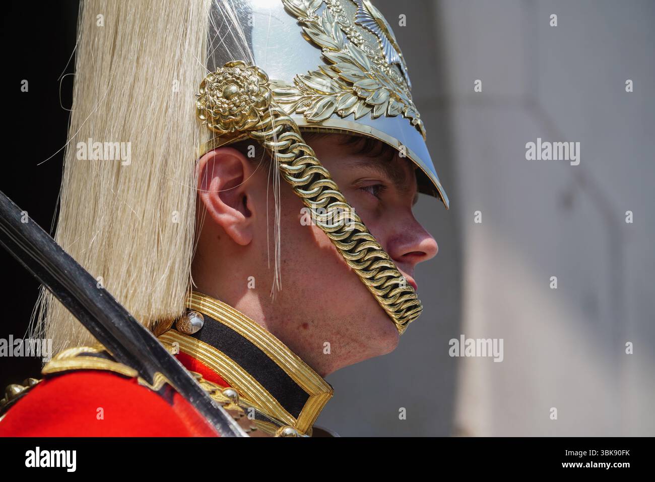 London, UK. 18 June 2025. A member of the King's Lifeguard of the ...