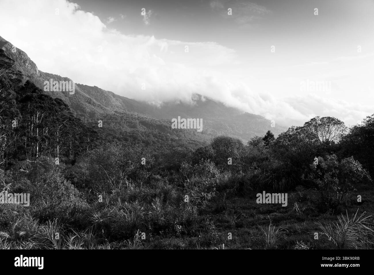 India western tourist Black and White Stock Photos & Images - Alamy