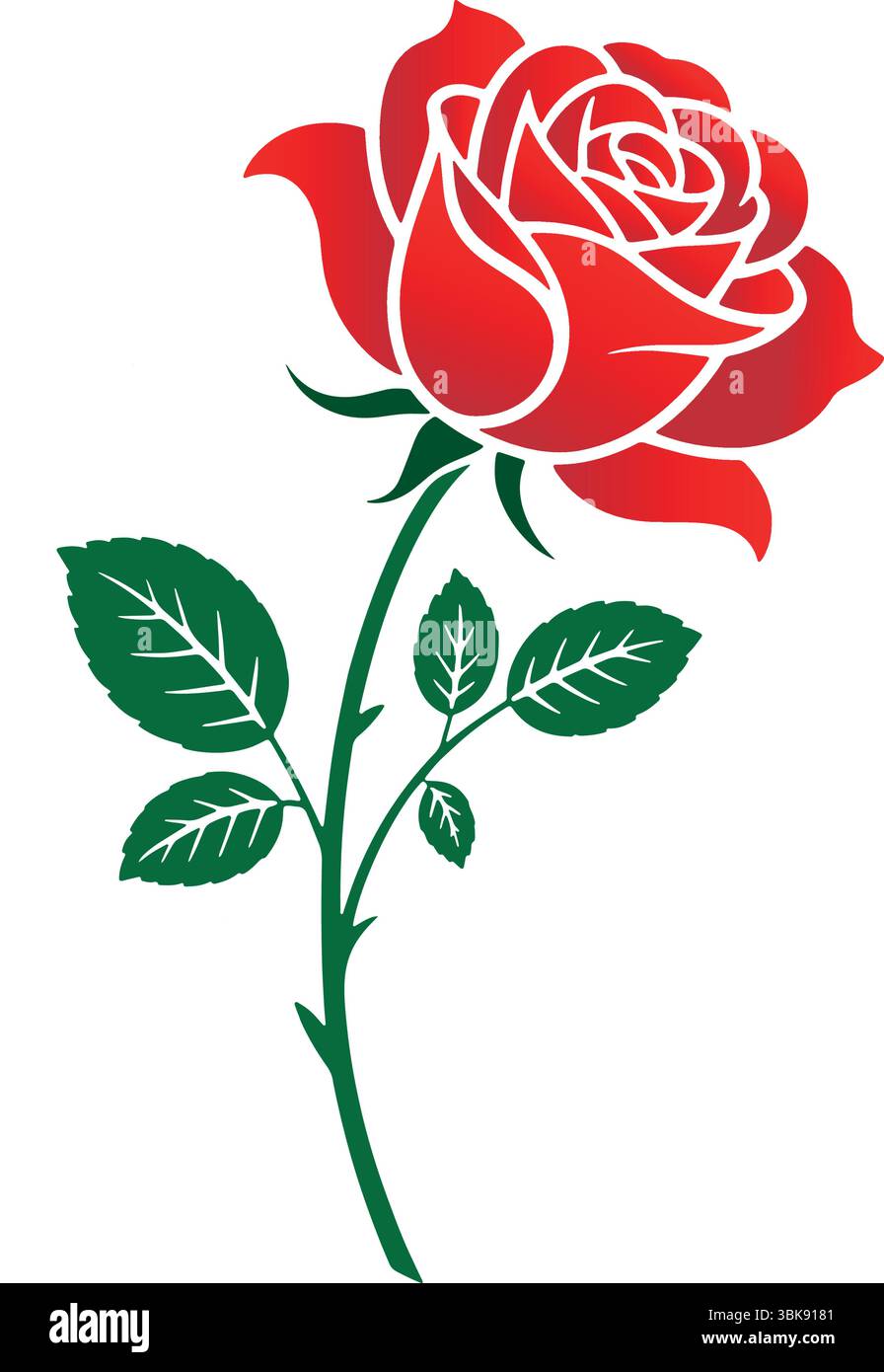 Minimalist wedding invitation floral Cut Out Stock Images & Pictures ...