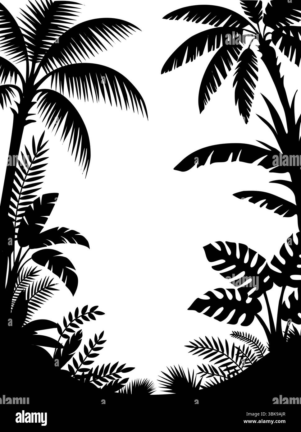 Palm tree frame border Black and White Stock Photos & Images - Alamy