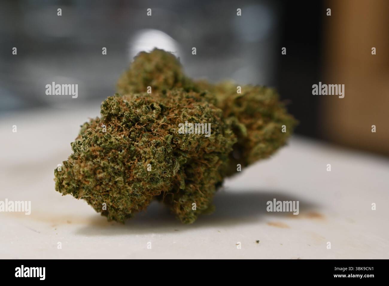 Berlin, Germany. 19th June, 2025. A cannabis flower, photographed at ...