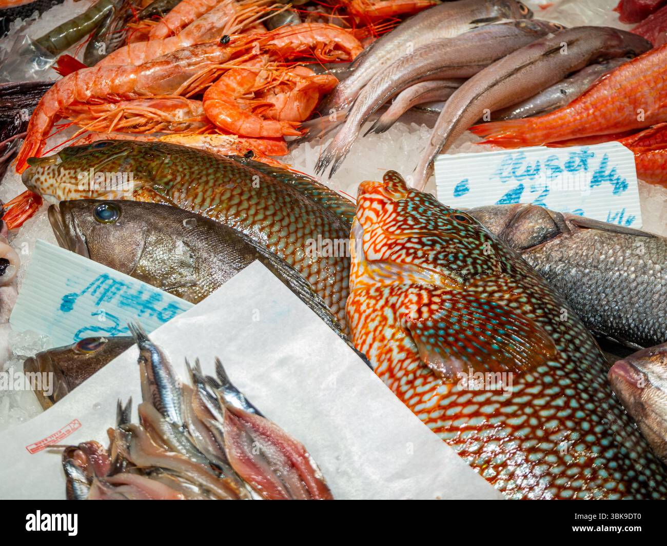 Fish display in the Boqueria market, in Barcelona, Spain Stock Photo ...