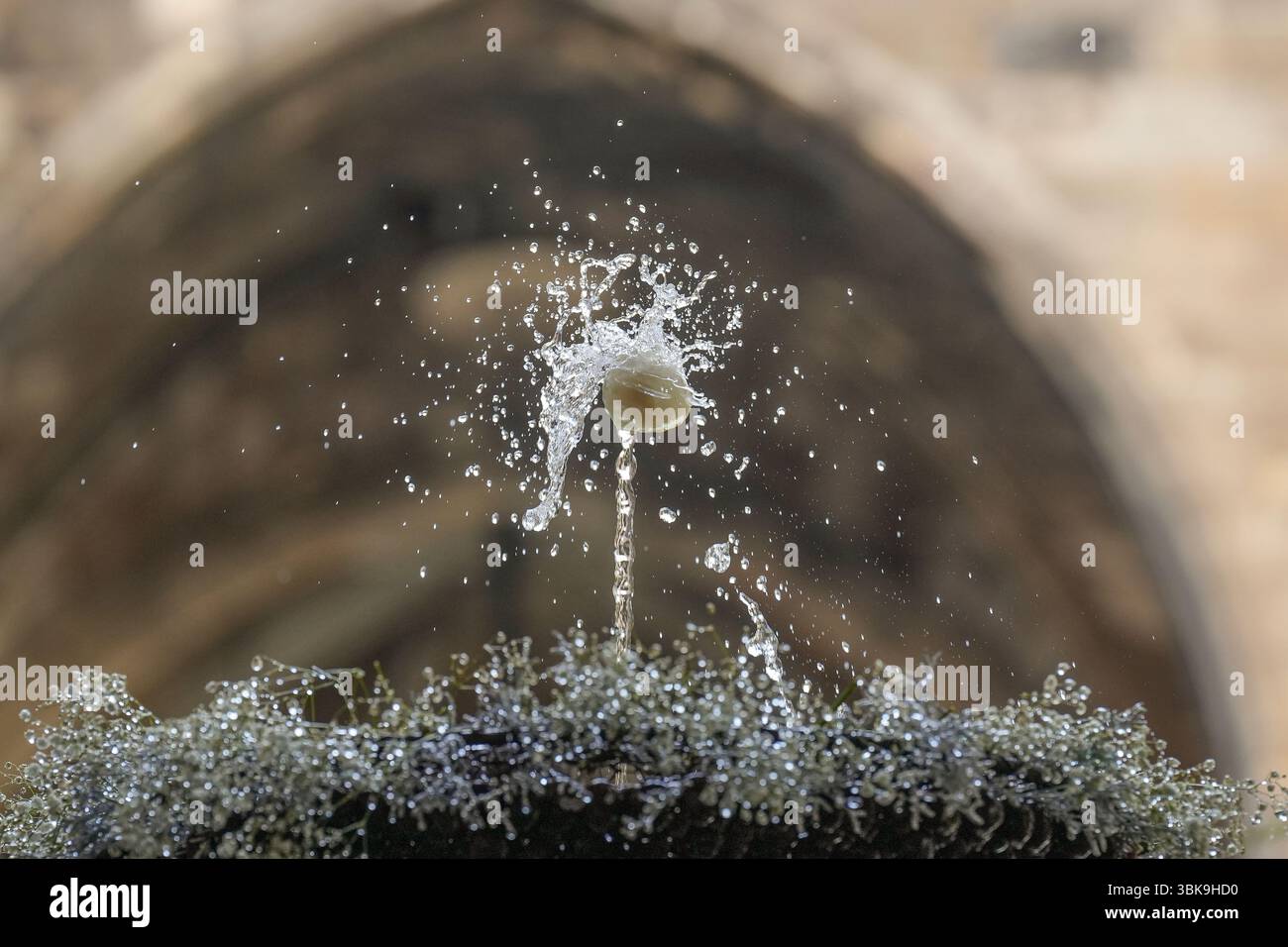 An egg suspended in a fountain during the celebration of "L'Ou com ...