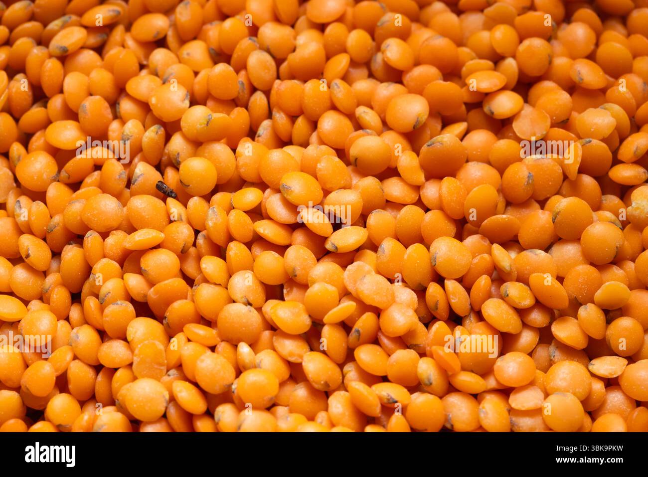 Dry raw red lentils rotating hi-res stock photography and images - Alamy