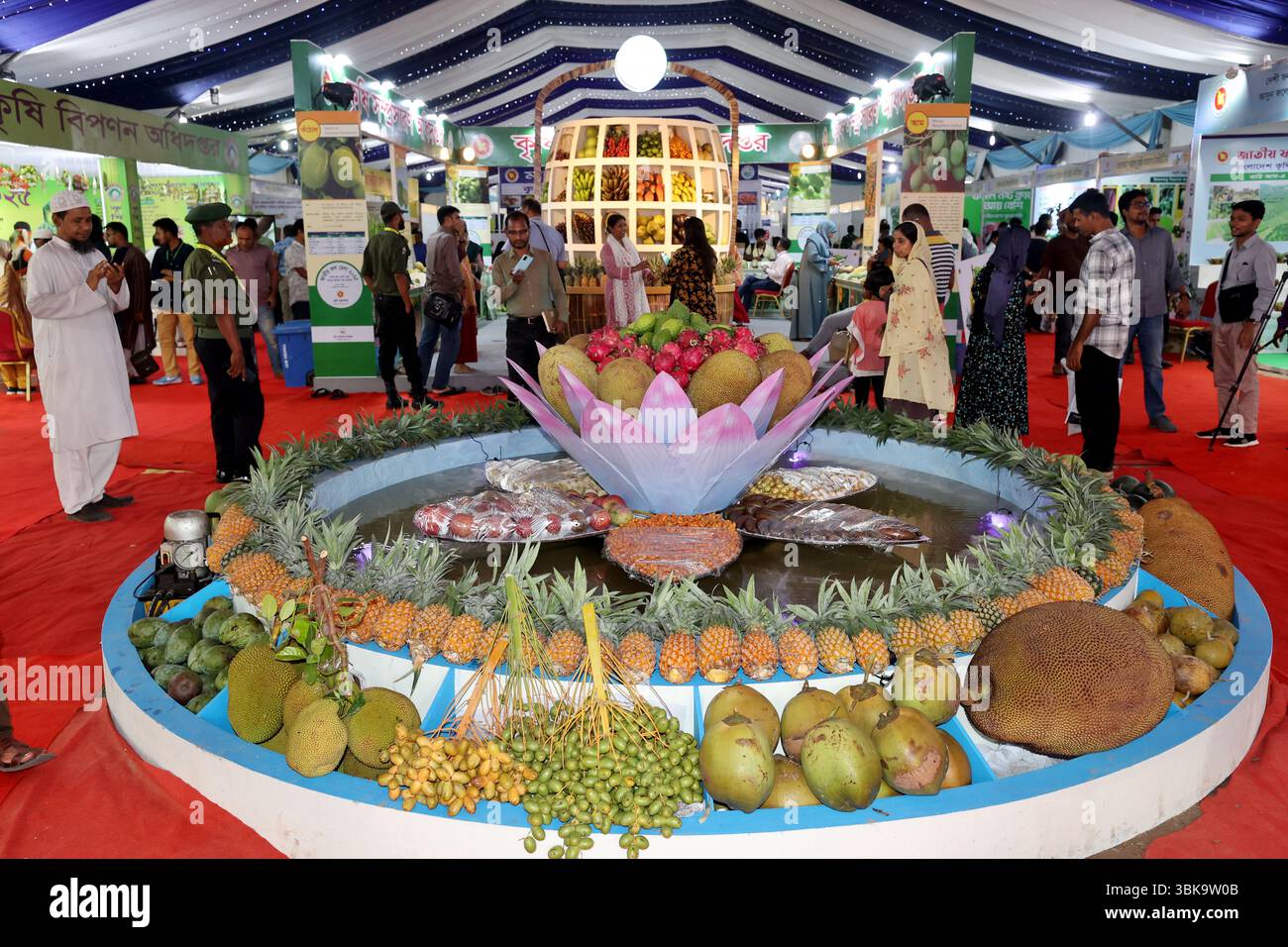 Dhaka, Bangladesh - June 19, 2025: Varieties of different fruits ...
