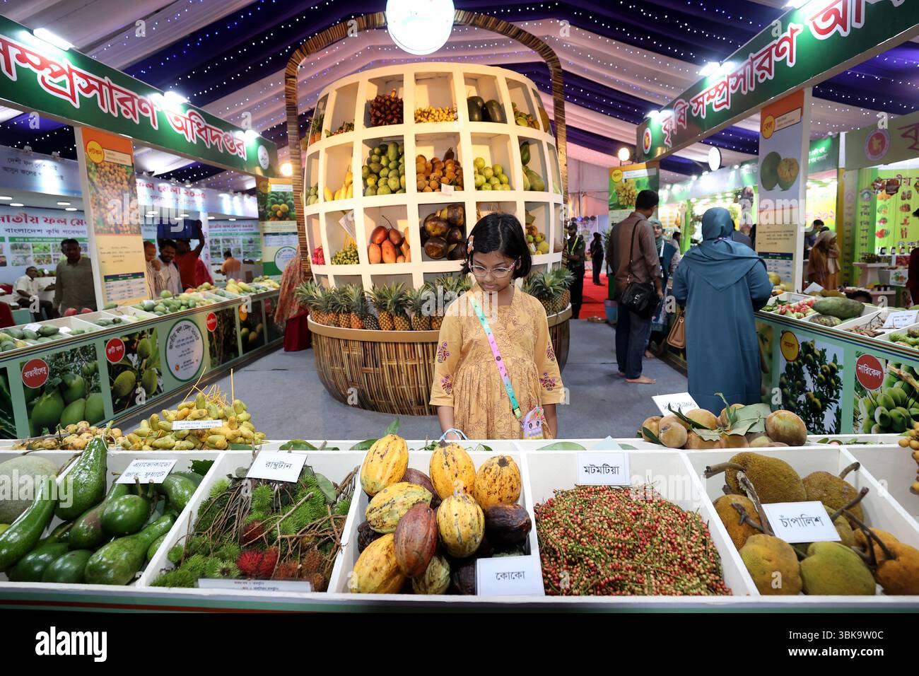 Dhaka, Bangladesh - June 19, 2025: Varieties of different fruits showcased in the three-day ...