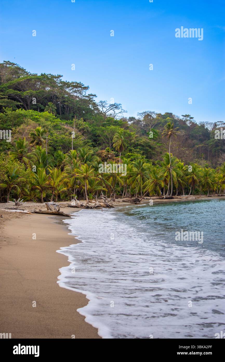 A serene beach scene in Sapzurro, Choco, Colombia, featuring golden ...