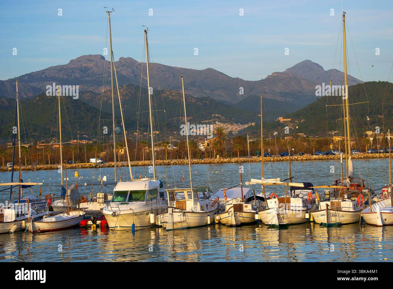 Traditional recreational fishing boats, Port of Andratx, Mallorca ...