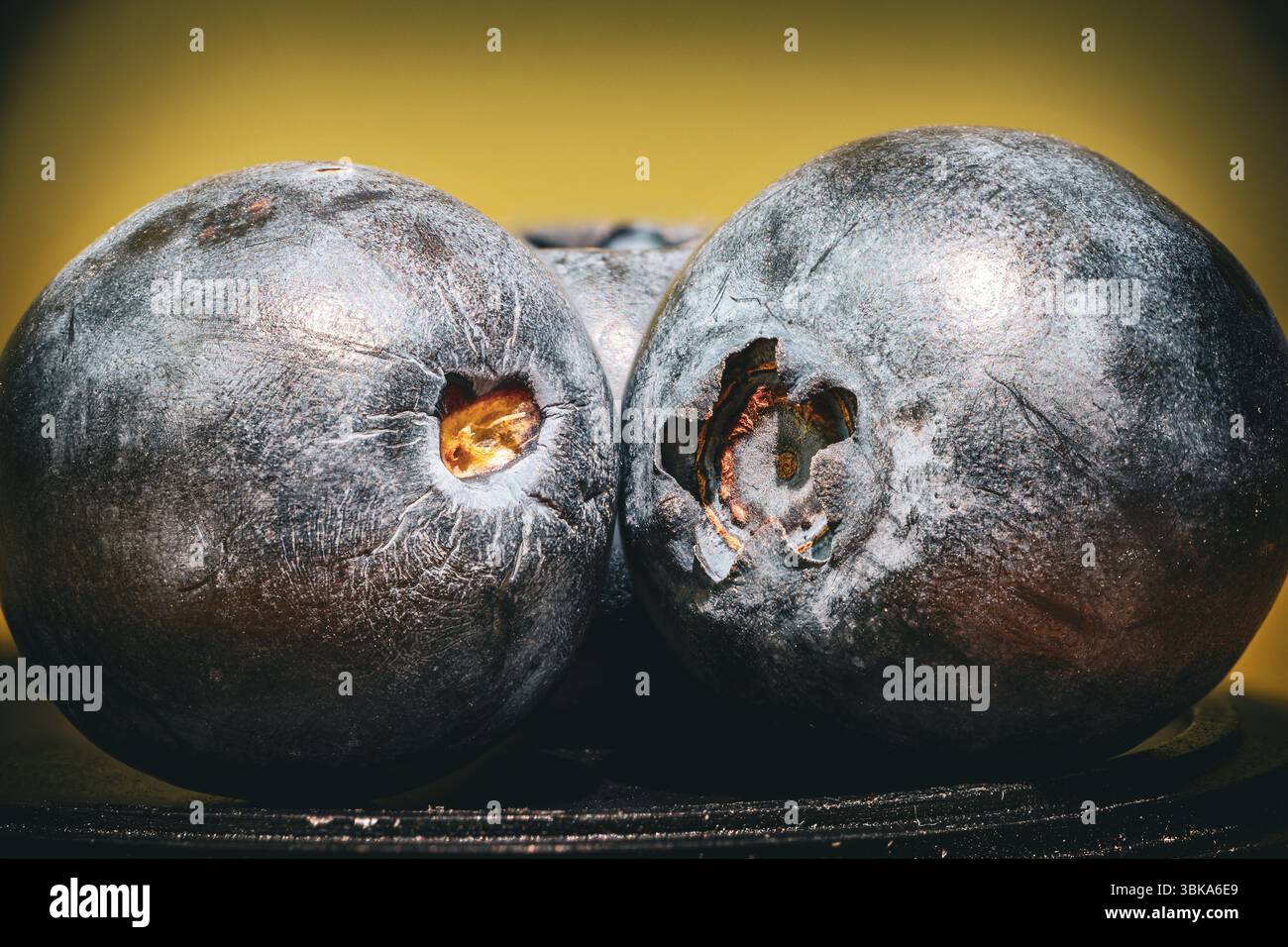 Wild blueberries in detail hi-res stock photography and images - Alamy