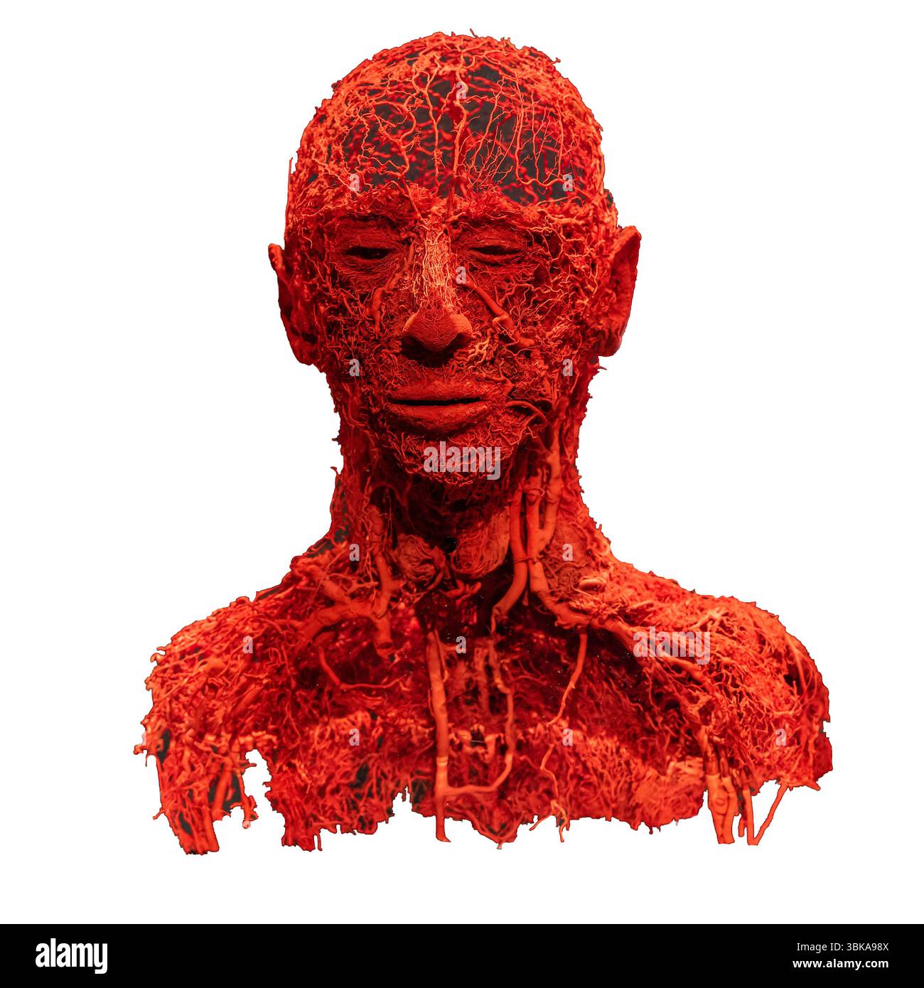 System visualization Cut Out Stock Images & Pictures - Alamy