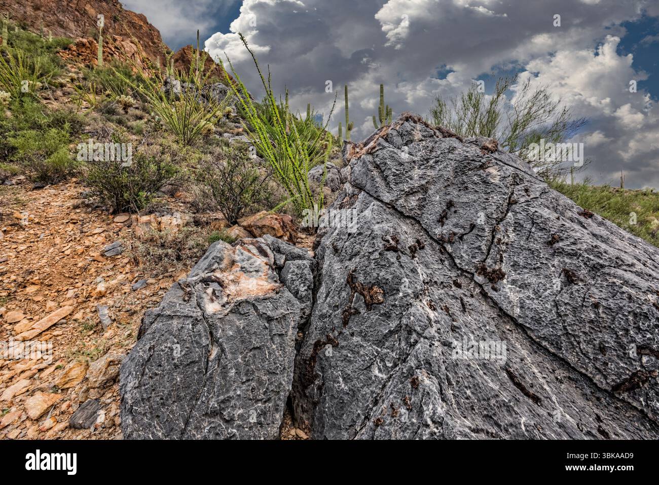 Fractured dolostone hi-res stock photography and images - Alamy