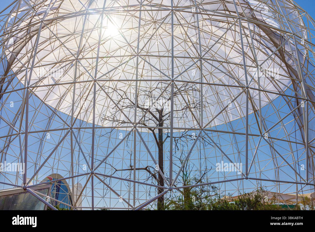 Large tree in birdhouse cage preserved angle shot Stock Photo - Alamy