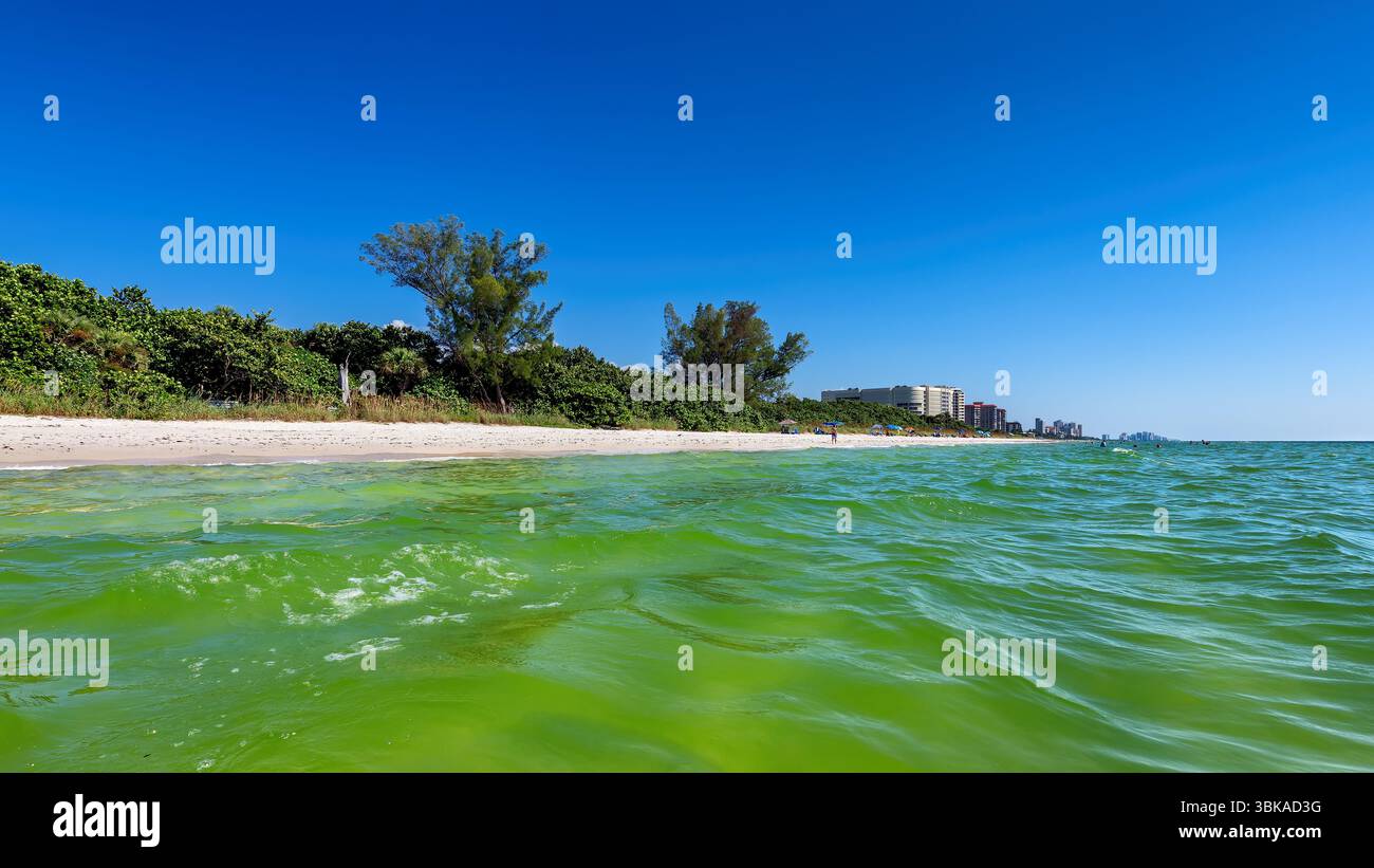 Waterfront of tropical Florida beach in sunny summer day, Naples ...