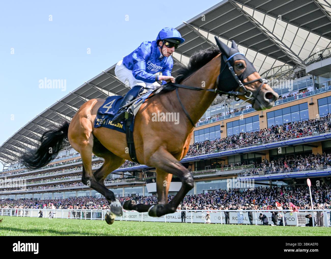 Trawlerman 2025 horse racing hi-res stock photography and images - Alamy