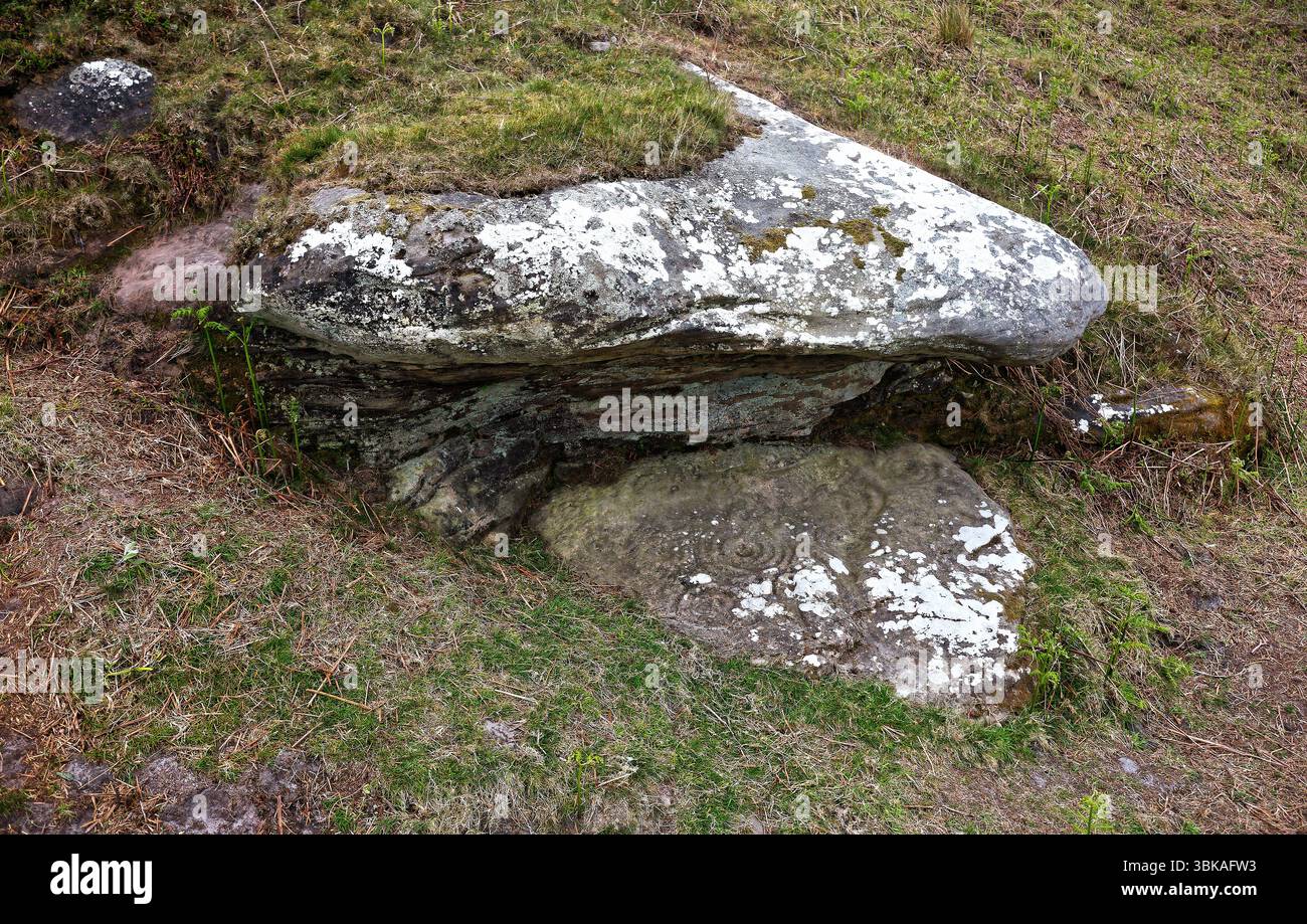 Ketley Crag prehistoric cup and ring marks in rock shelter near Belford ...