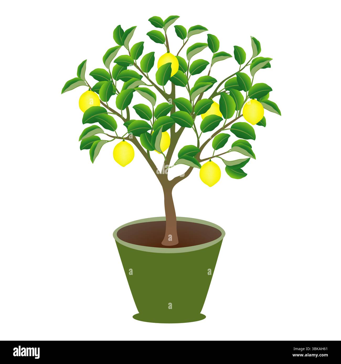 Roots tree in abstract Cut Out Stock Images & Pictures - Alamy