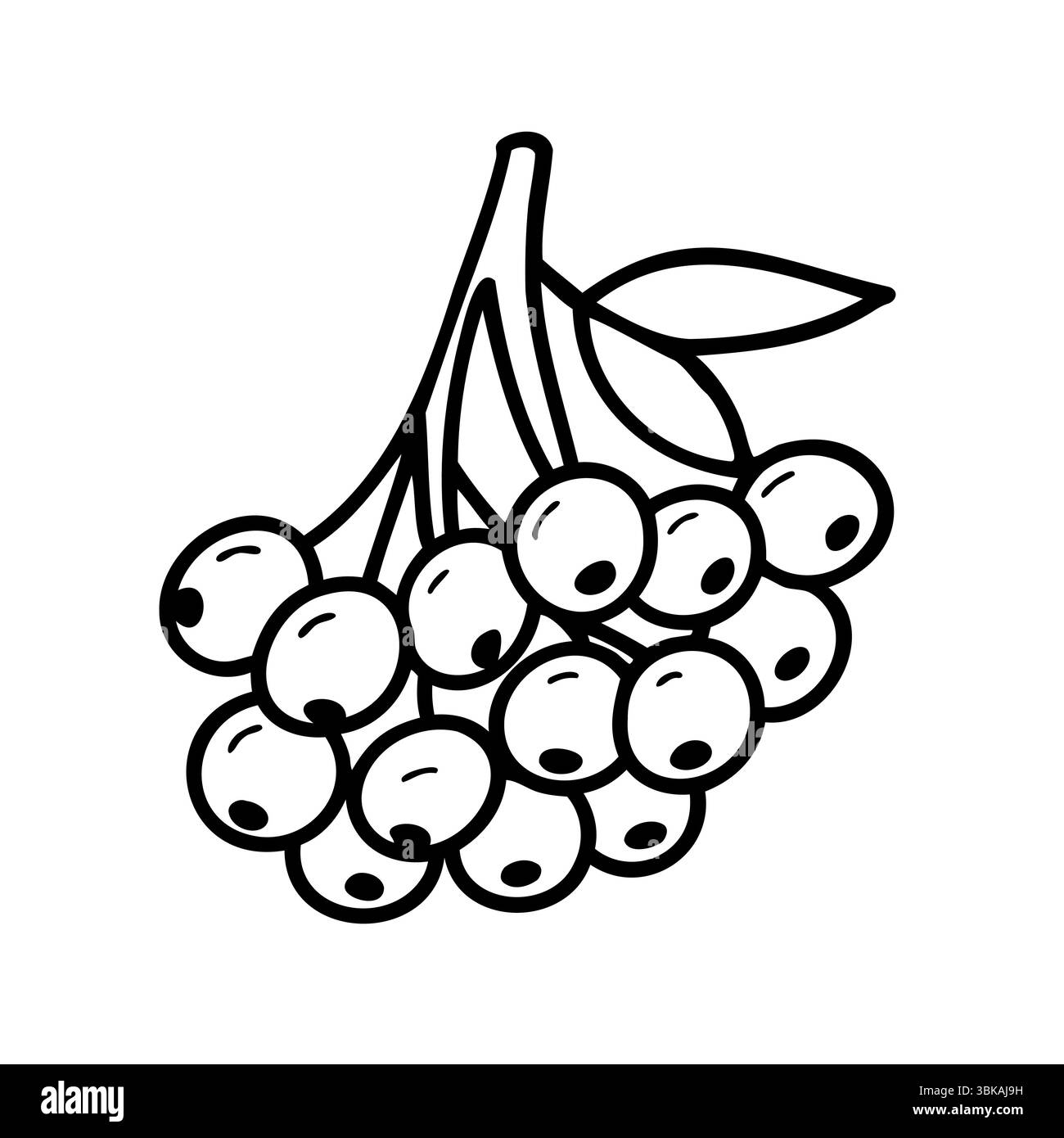 Cluster growing Black and White Stock Photos & Images - Alamy