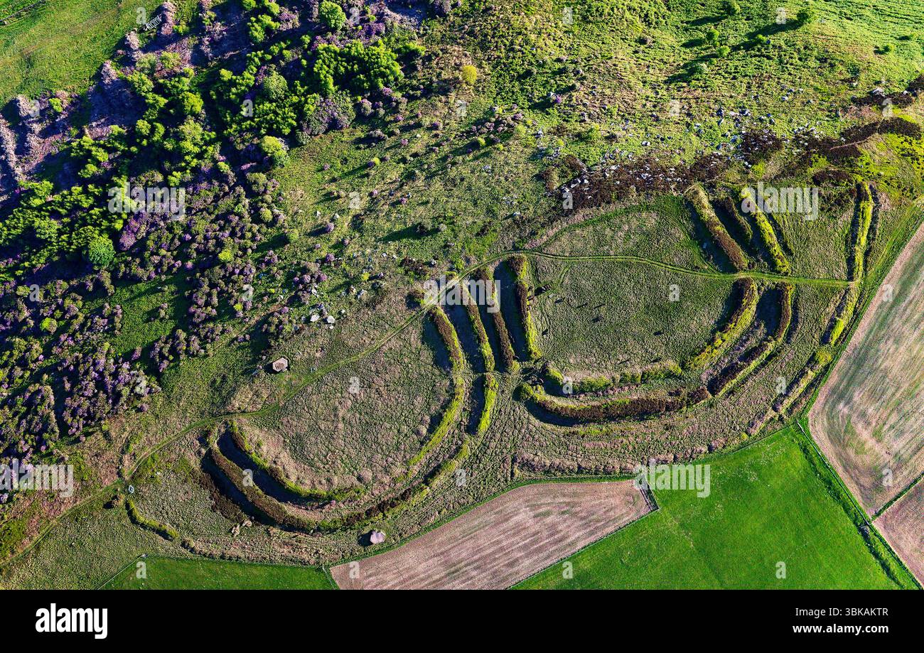The twin forts of Old Bewick multivallate Iron Age hillfort south east ...