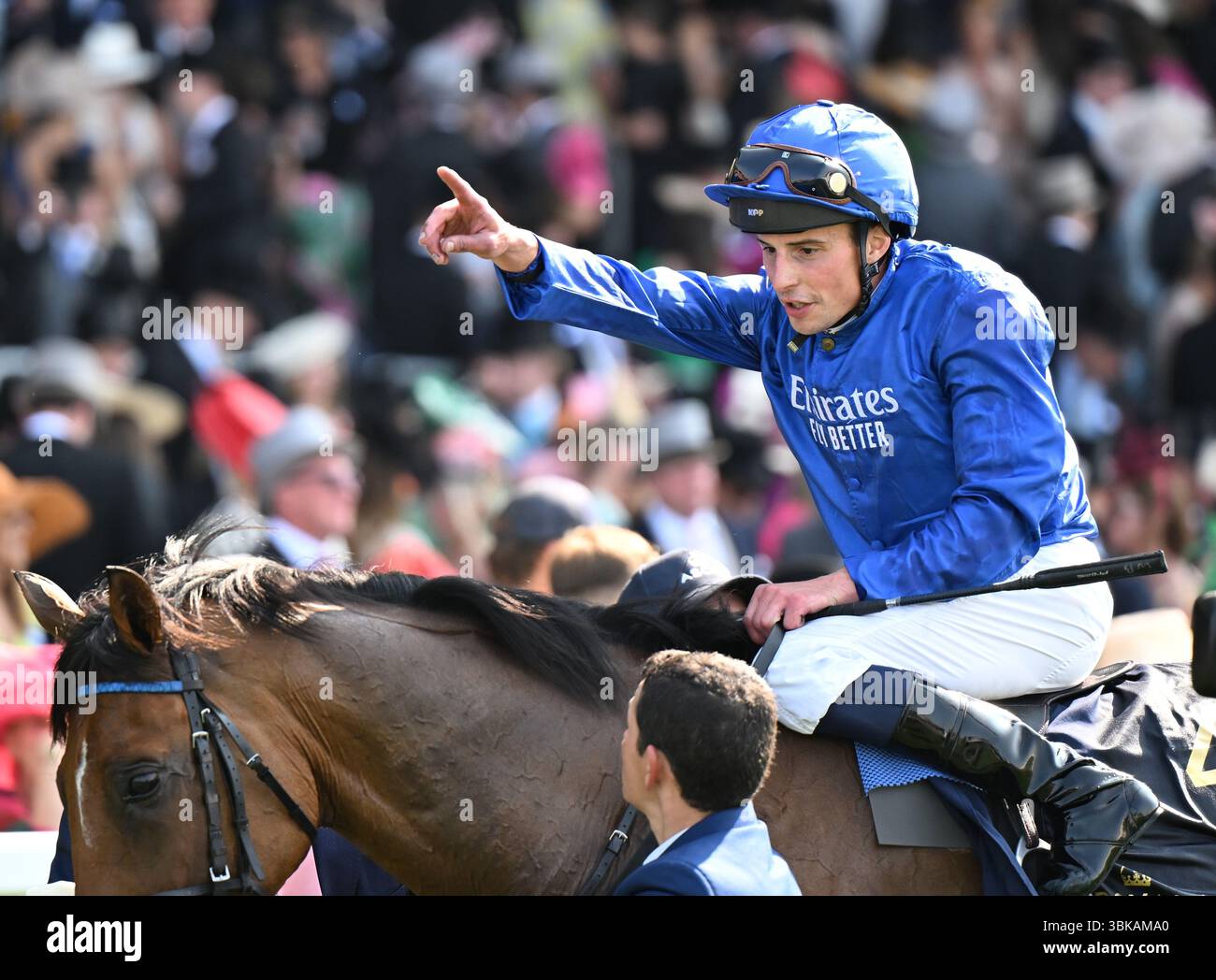 Trawlerman horse ascot 2025 hi-res stock photography and images - Alamy