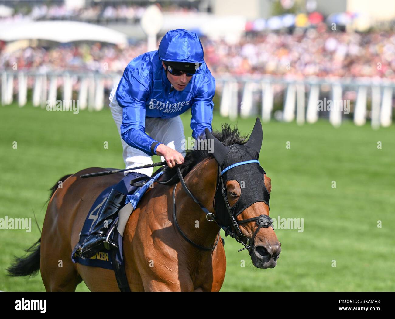 Trawlerman 2025 horse racing hi-res stock photography and images - Alamy