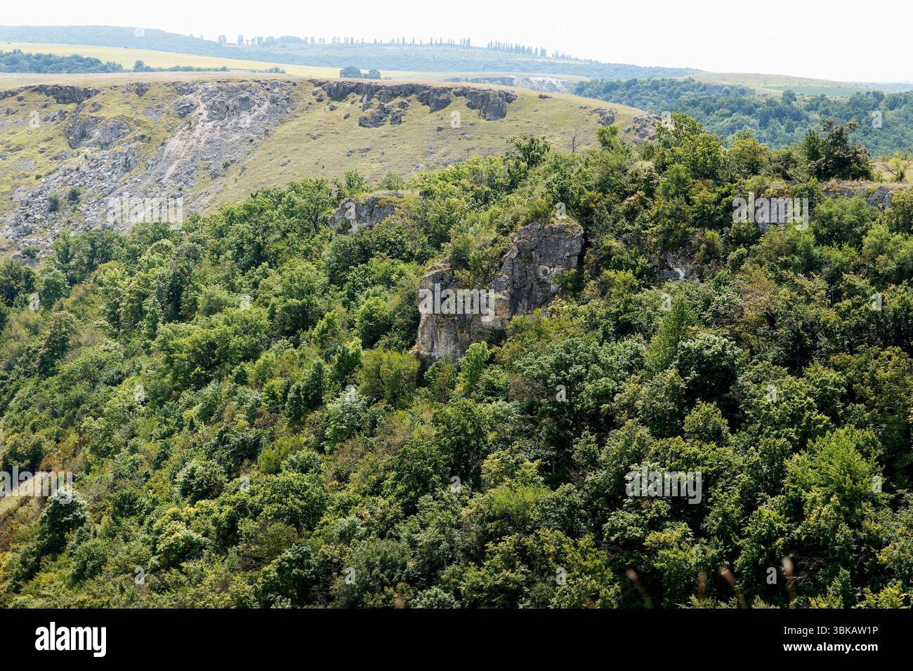 Lush green forest blanketing rocky hilltop under bright daylight, with ...