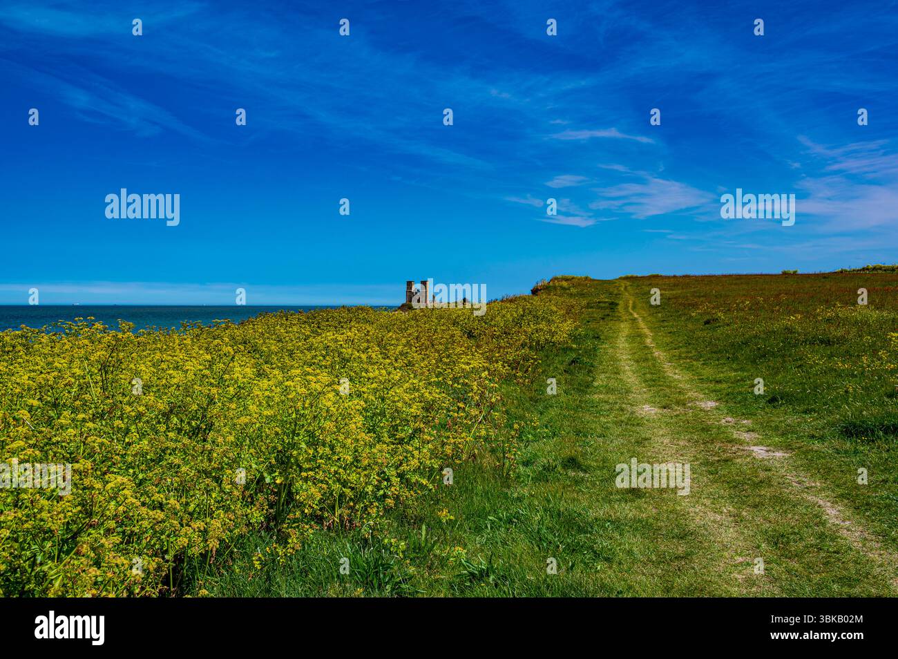 Oyster Bay Trail in the Reculver Country Park section in a beautiful ...