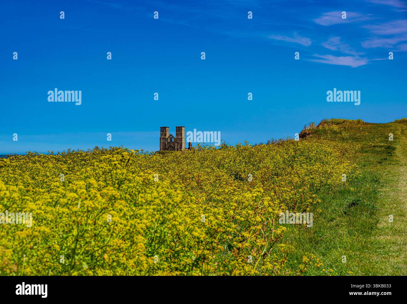 Oyster Bay Trail in the Reculver Country Park section in a beautiful ...