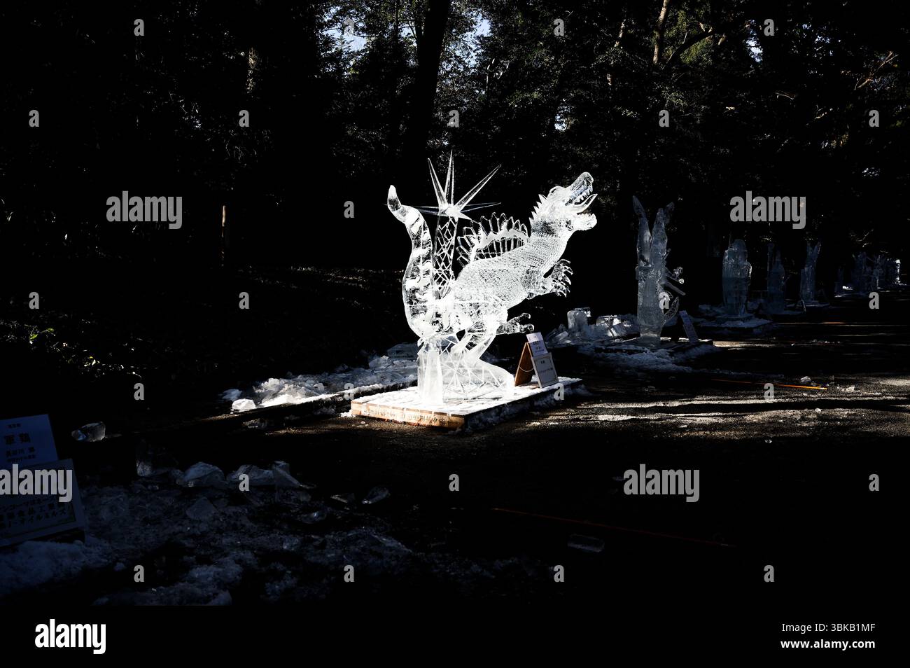 Mythical ice dragon glows under the winter sun at an ice sculpture ...