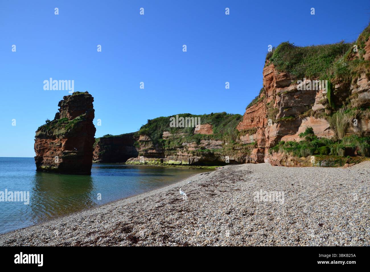 View of Ladram Bay captured from the beach, featuring a pebble-covered ...