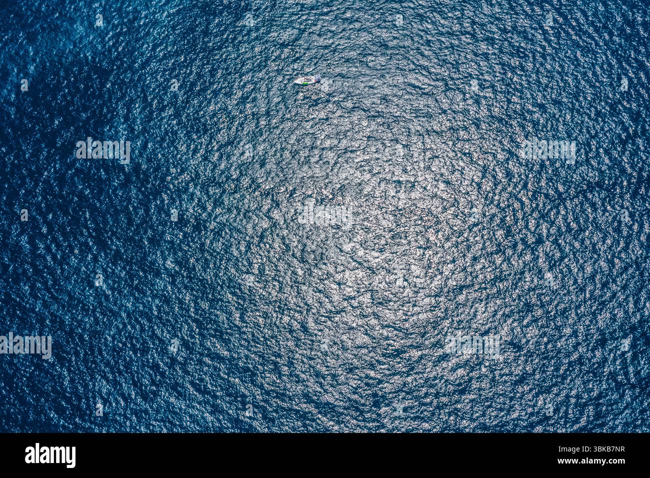 Sea lion in Espíritu Santo Island, Gulf of California, Baja California ...