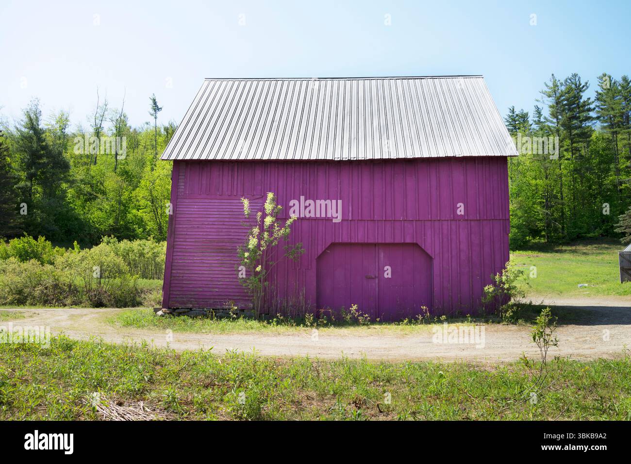 Purple barn in Vermont, USA Stock Photo - Alamy