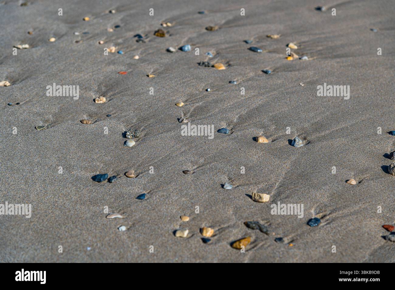 Small stones washed up on the sand of a beach Stock Photo - Alamy