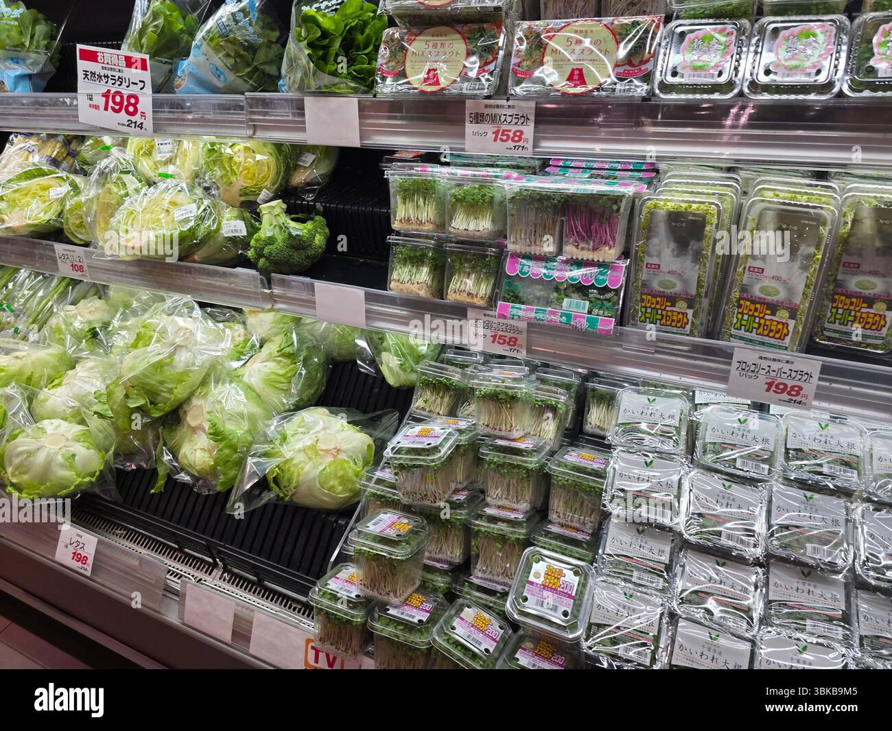 Inside of Japanese Elm Shopping Grocery Store Stock Photo - Alamy